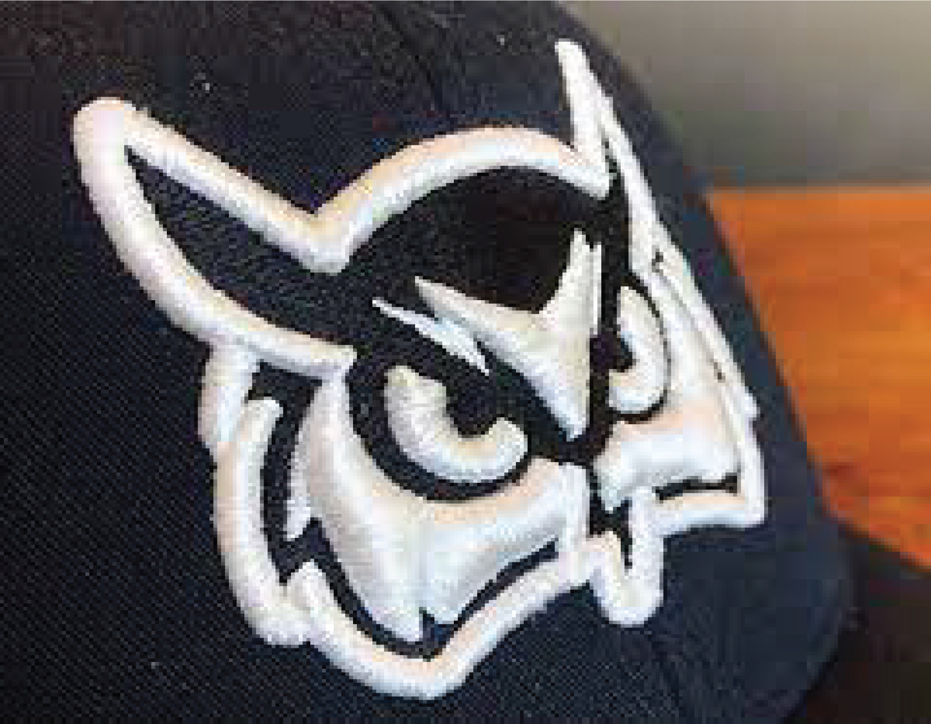 AA CREATIVE EMBROIDERY AND WEBSITE DEVELOPMENT